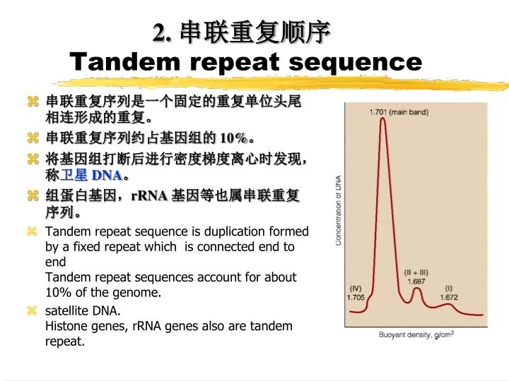 PPT - Structure and function of genome PowerPoint Presentation - ID:6454661