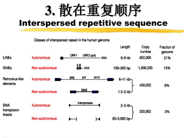 Ppt Structure And Function Of Genome Powerpoint Presentation Id 6454661