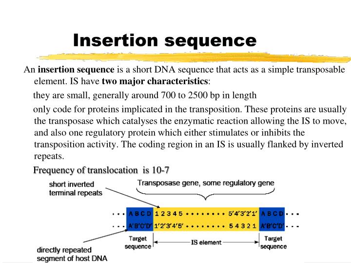 Ppt Structure And Function Of Genome Powerpoint Presentation Id 6454661