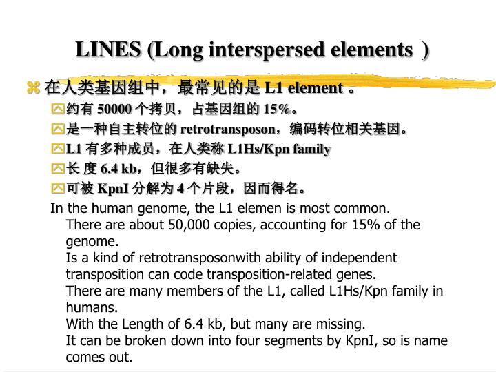 PPT - Structure and function of genome PowerPoint Presentation - ID:6454661