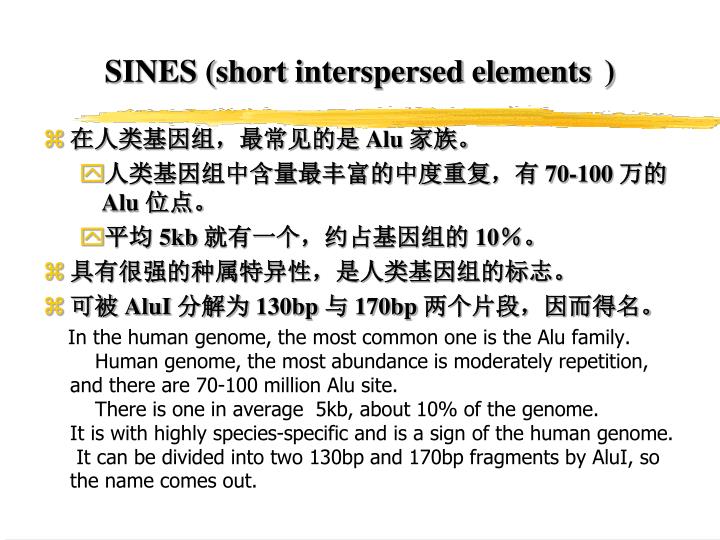 PPT - Structure and function of genome PowerPoint Presentation - ID:6454661