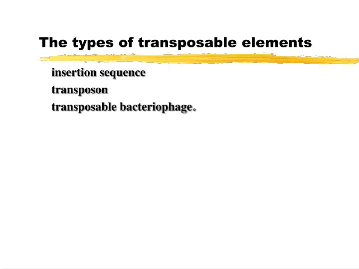 PPT - Structure and function of genome PowerPoint Presentation - ID:6454661