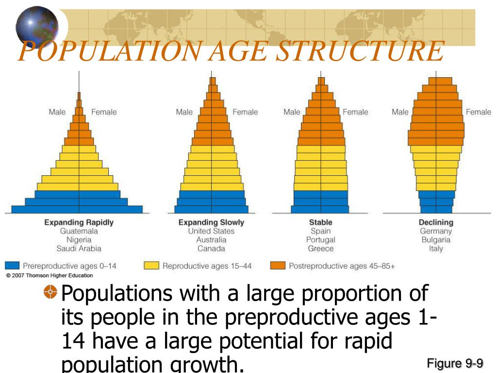 Age Structure Diagrams Stages Age Structure Population Pyram