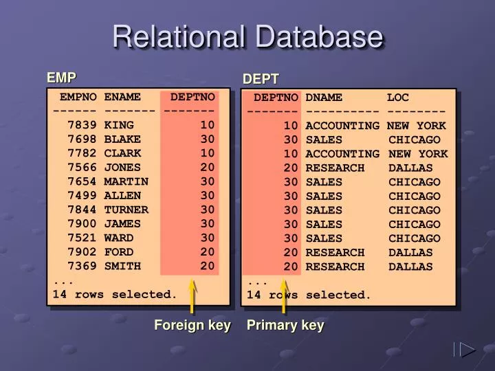 PPT - Relational Database PowerPoint Presentation, free download - ID ...