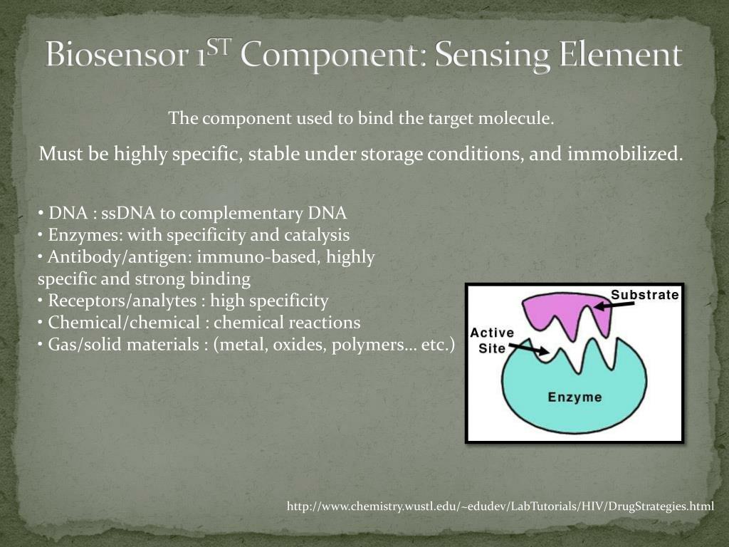 PPT - Biosensor in Medical Application PowerPoint Presentation, free ... PPT - Biosensor in Medical Application PowerPoint Presentation, free ...