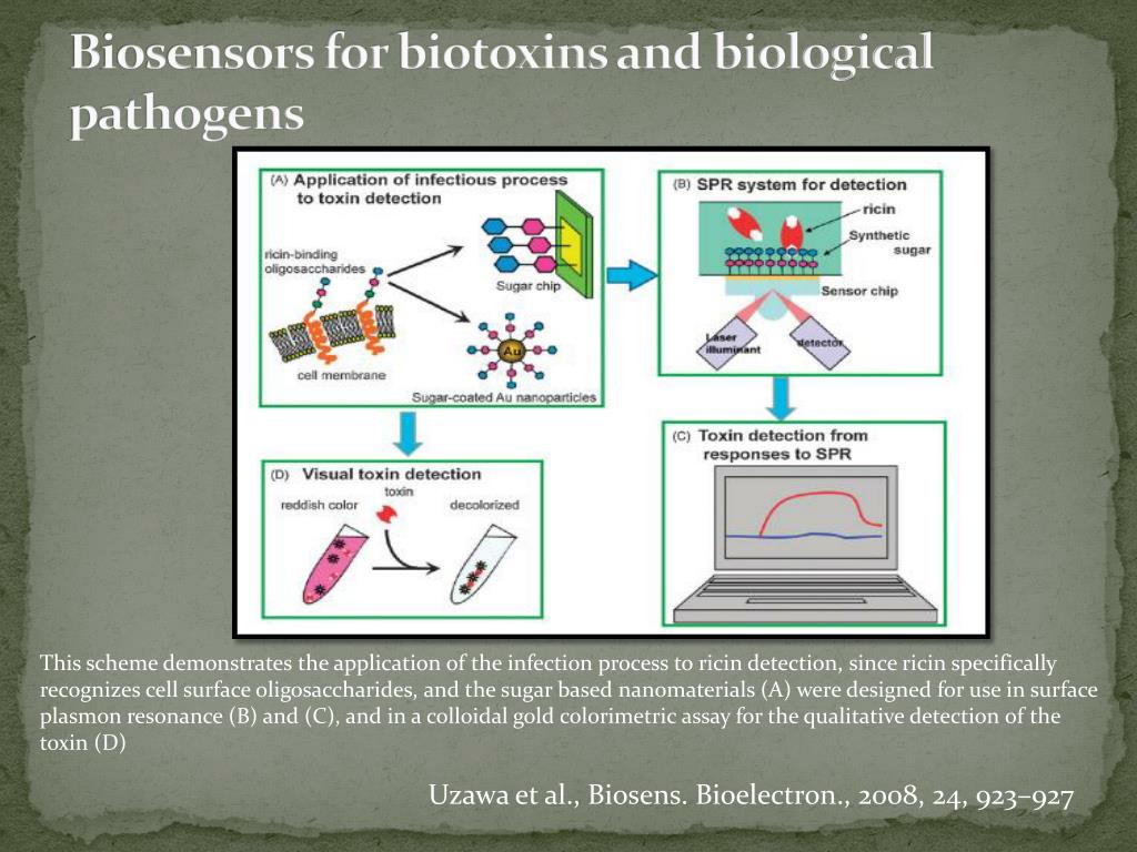 PPT - Biosensor in Medical Application PowerPoint Presentation, free ... PPT - Biosensor in Medical Application PowerPoint Presentation, free ...
