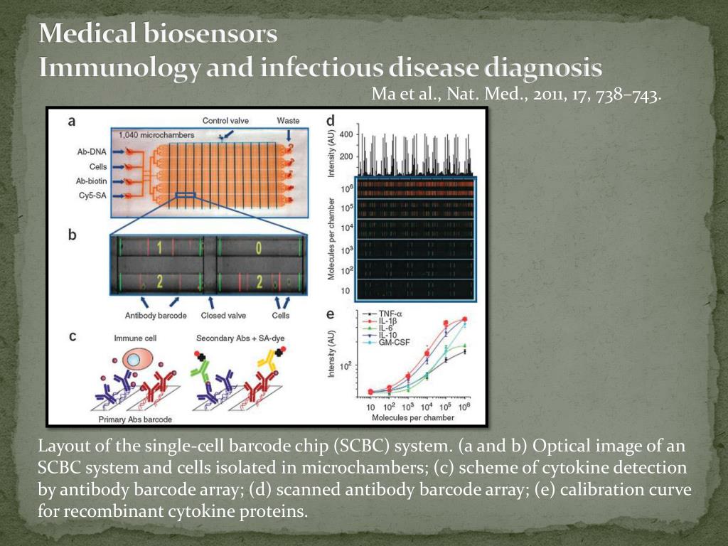 PPT - Biosensor in Medical Application PowerPoint Presentation, free ... PPT - Biosensor in Medical Application PowerPoint Presentation, free ...