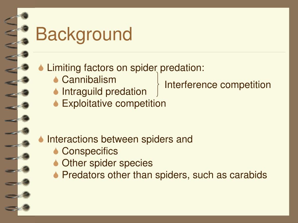 PPT - Food webs and spider efficacy in organic production systems ...