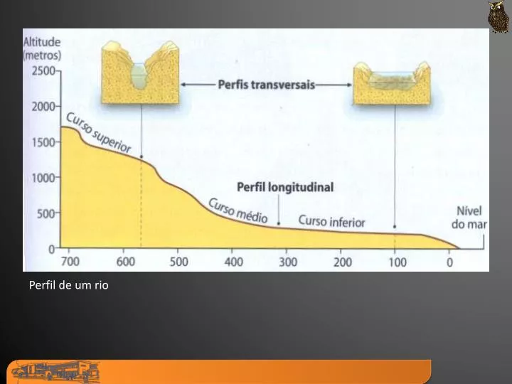 PPT - Perfil de um rio PowerPoint Presentation, free download - ID:6467382
