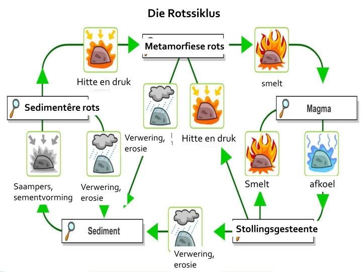 PPT - ROTSSIKLUS PowerPoint Presentation - ID:6469954