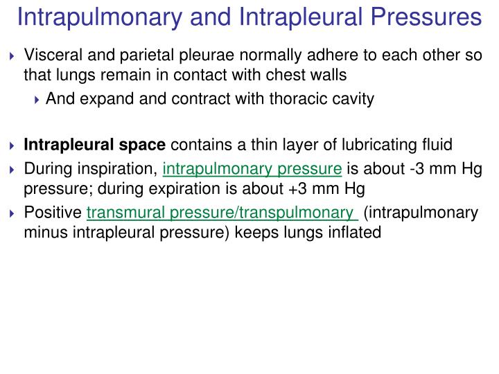 PPT - Respiratory Physiology PowerPoint Presentation - ID:6473151