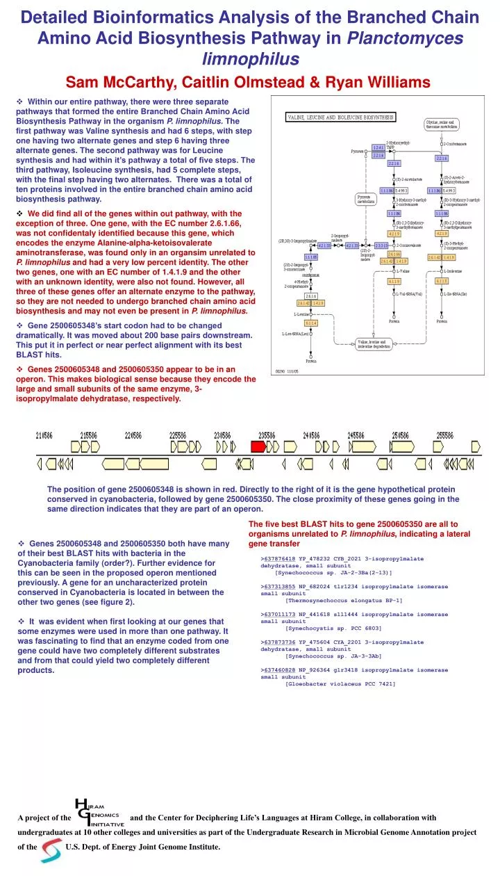 PPT - Sam McCarthy, Caitlin Olmstead & Ryan Williams PowerPoint ...