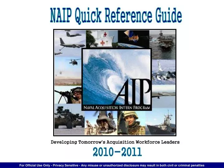 PPT - NAIP Quick Reference Guide PowerPoint Presentation, free download ...