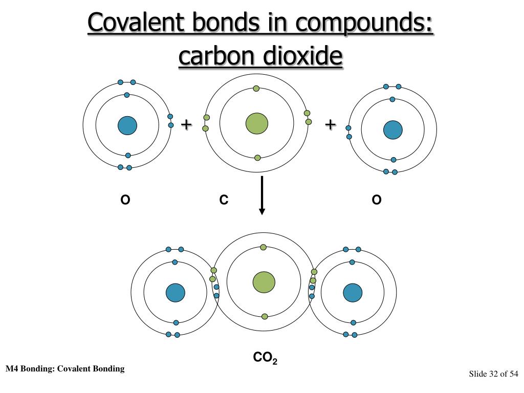 Covalent Bonding In A Carbon Dioxide Molecule Covalen - vrogue.co Covalent Bonding In A Carbon Dioxide Molecule Covalen - vrogue.co