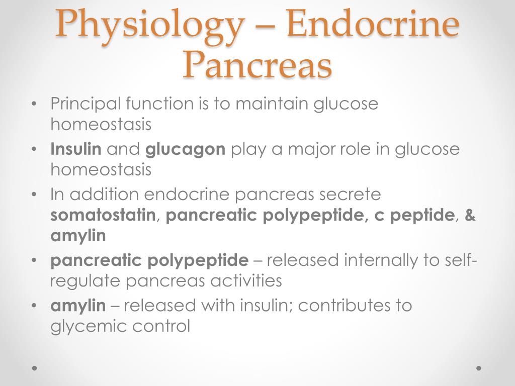 PPT - Pancreas: Anatomy & Physiology PowerPoint Presentation, free ...