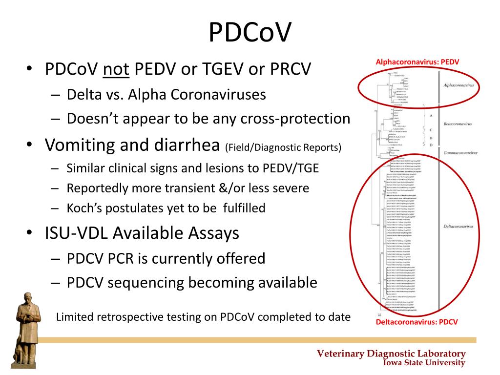 PPT - Faculty, Staff, & Students of ISU VDL PowerPoint Presentation ...