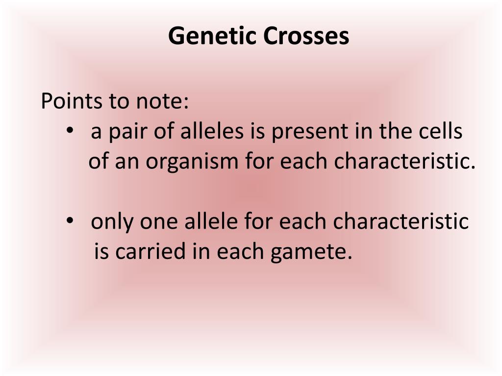 Ppt Chpt 17 Genetic Crosses Powerpoint Presentation Free Download