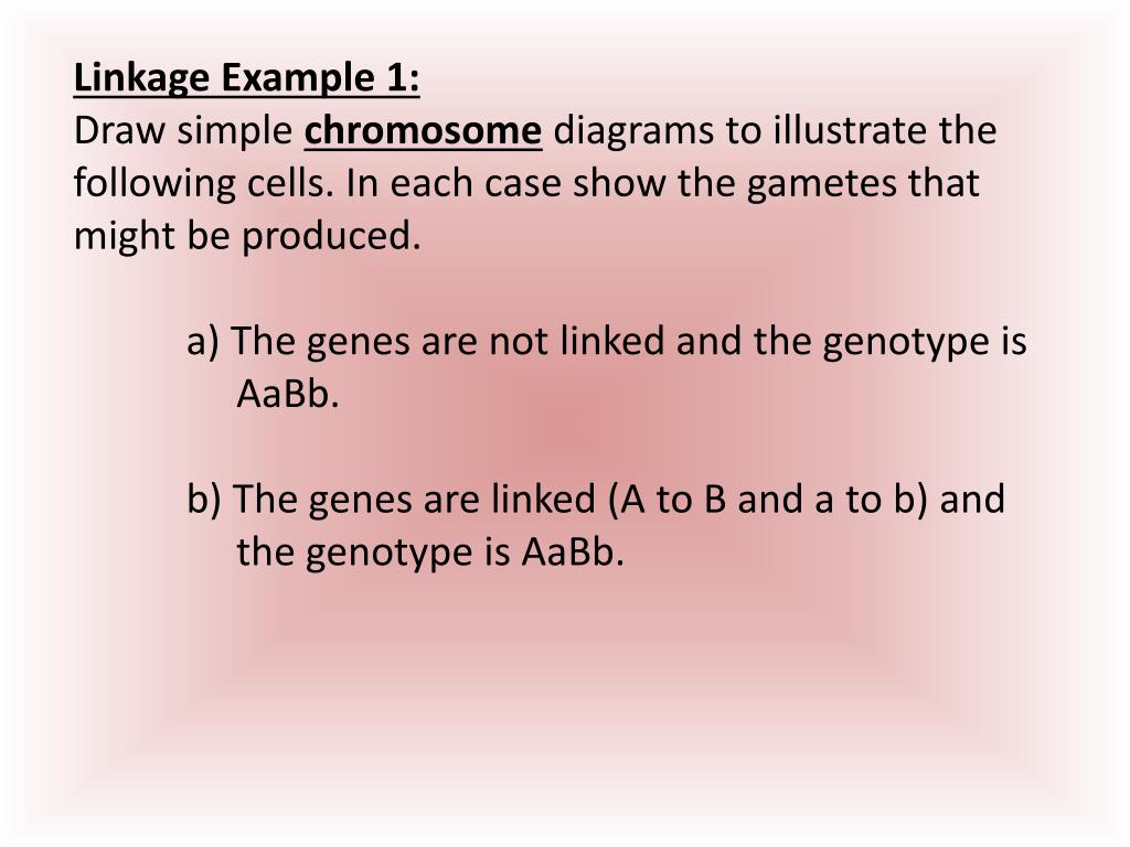 Ppt Chpt 17 Genetic Crosses Powerpoint Presentation Free Download
