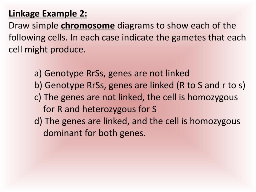 Ppt Chpt 17 Genetic Crosses Powerpoint Presentation Free Download