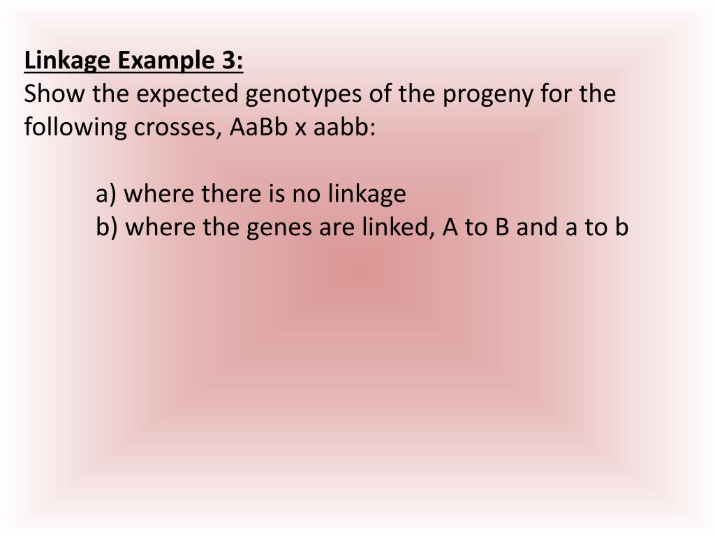 Ppt Chpt 17 Genetic Crosses Powerpoint Presentation Free Download