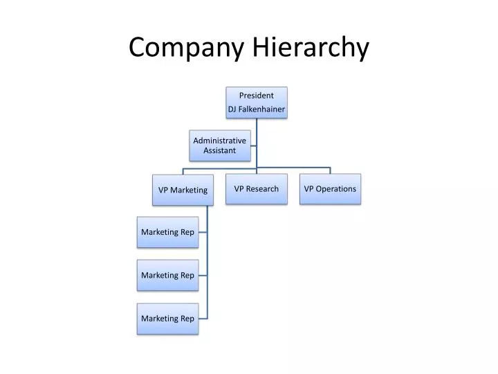 PPT - Company Hierarchy PowerPoint Presentation, free download - ID:6494800