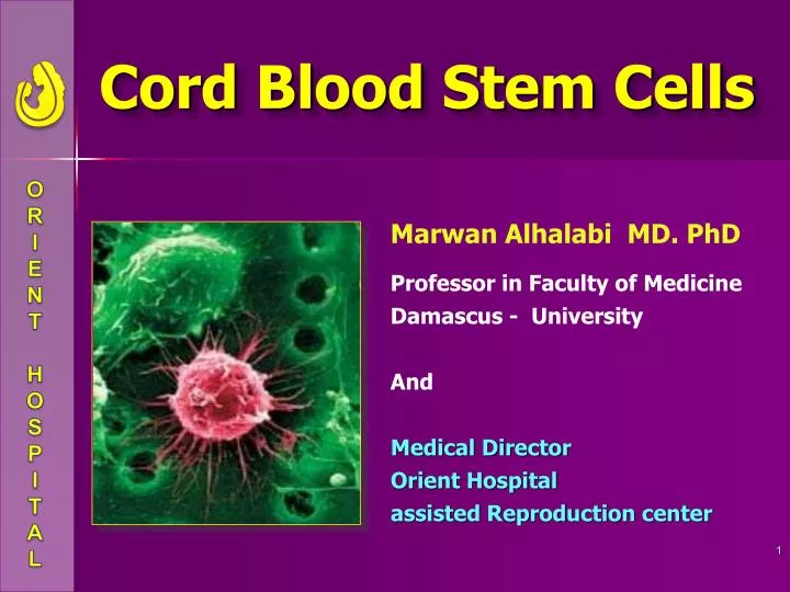 PPT - Cord Blood Stem Cells PowerPoint Presentation, free download - ID ...