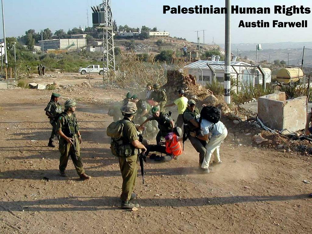 PPT - Palestinian Human Rights PowerPoint Presentation, free download ...