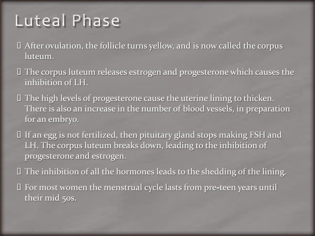 PPT - Male & Female Reproductive System PowerPoint Presentation - ID ...