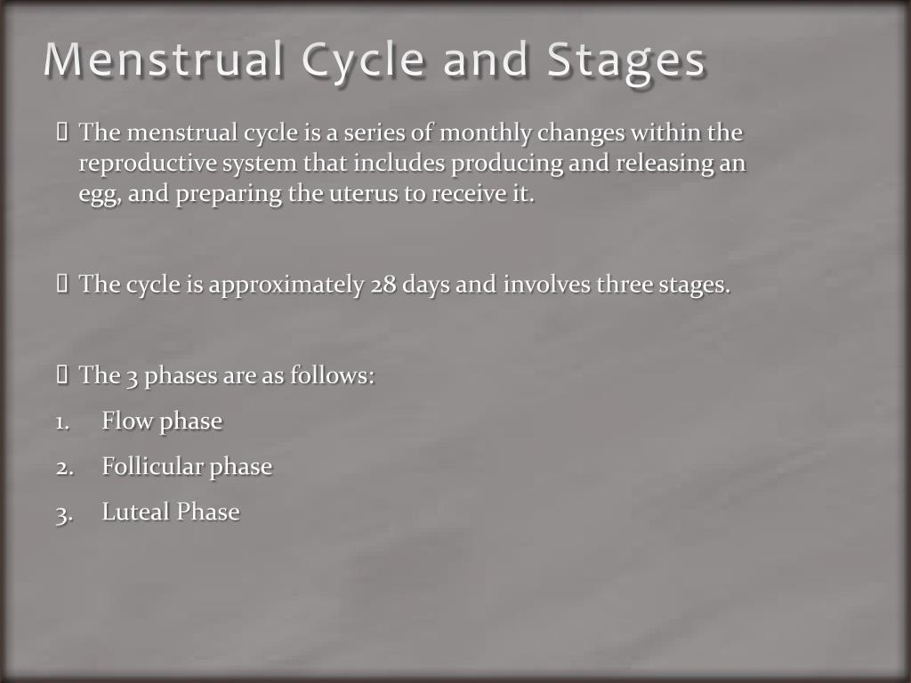 PPT - Male & Female Reproductive System PowerPoint Presentation - ID ...