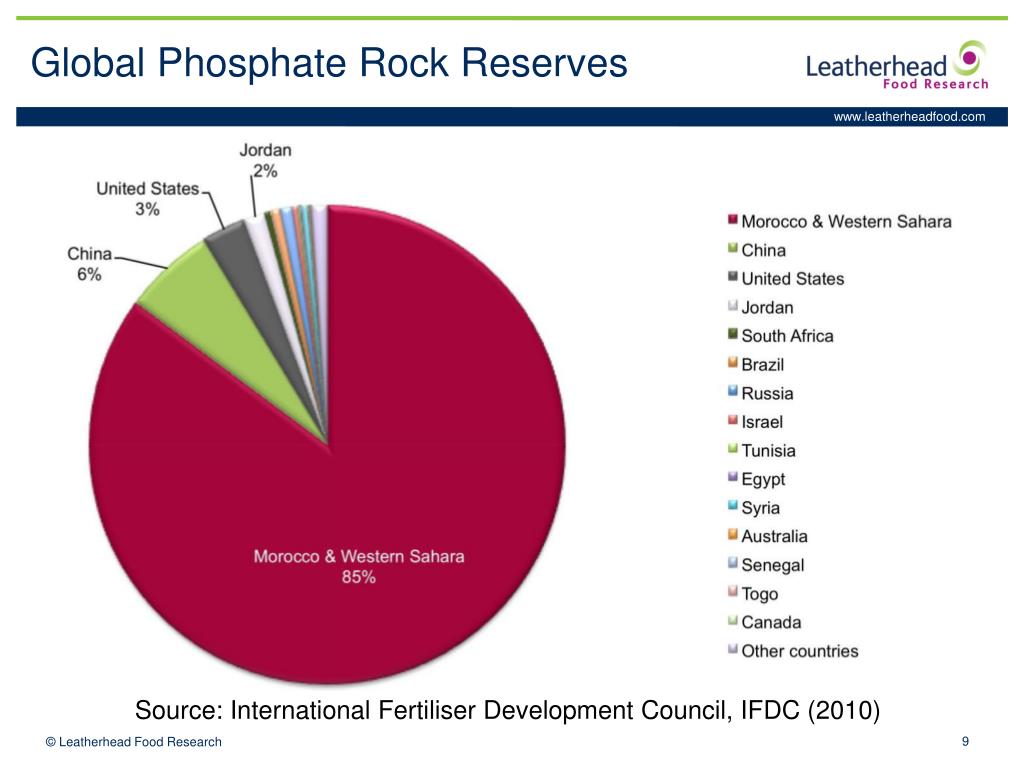 PPT - Alternatives to Phosphates in Foods Dr Wayne Morley, Head of Food ...