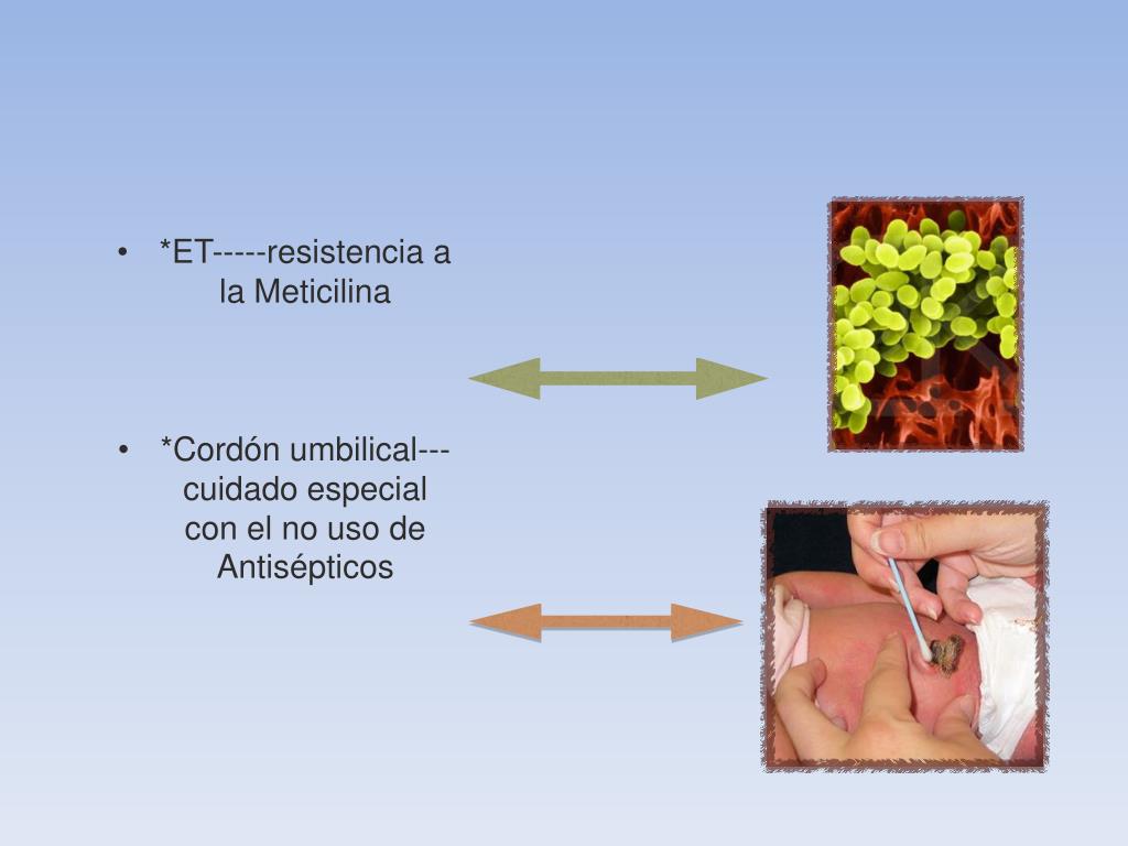 PPT - Síndrome de la Piel Escaldada Estafilocócica PowerPoint ...