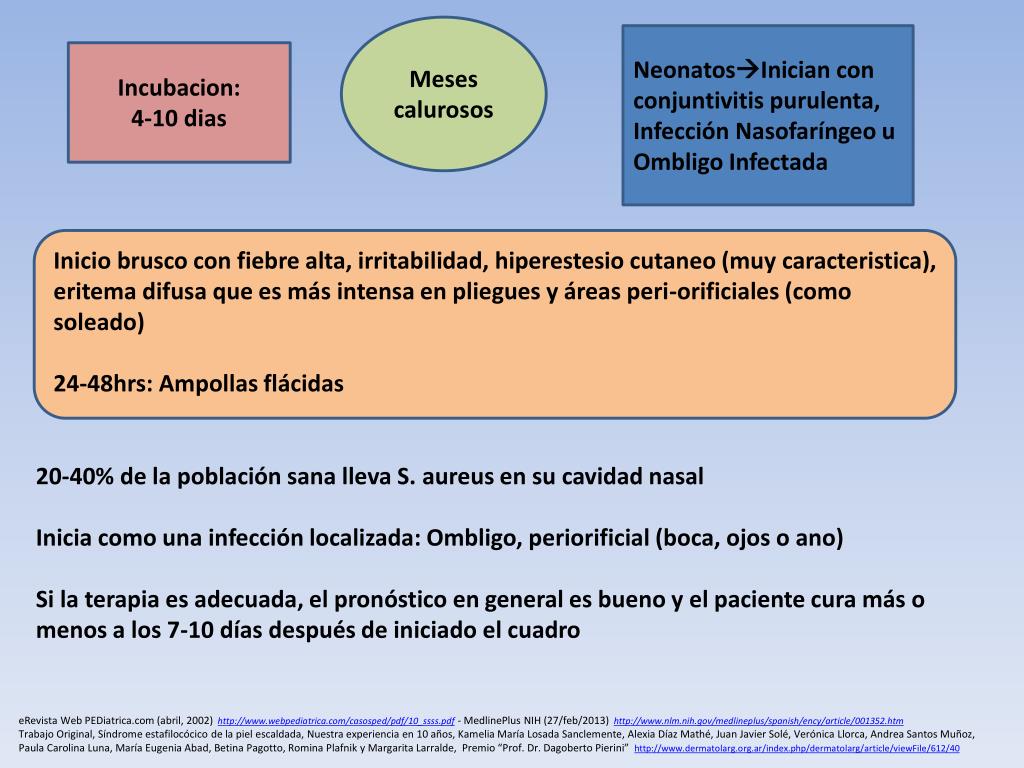 PPT - Síndrome de la Piel Escaldada Estafilocócica PowerPoint ...