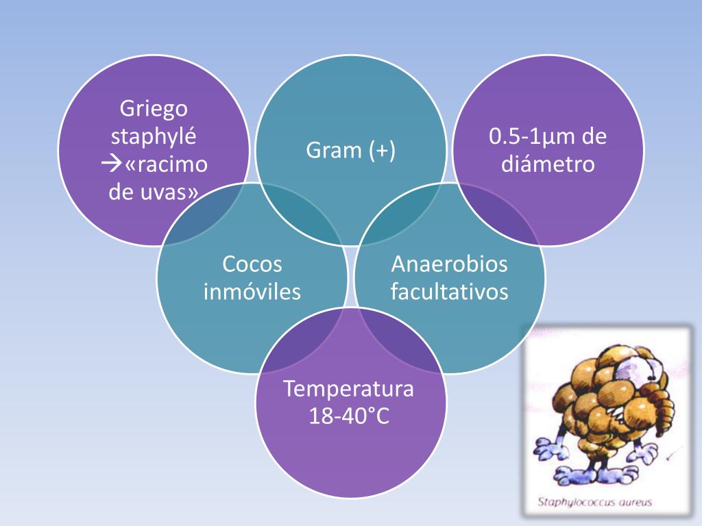PPT - Síndrome de la Piel Escaldada Estafilocócica PowerPoint ...