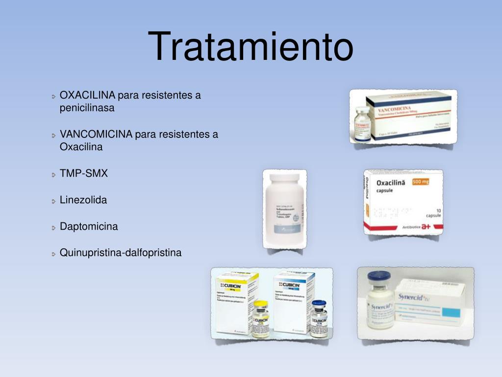 PPT - Síndrome de la Piel Escaldada Estafilocócica PowerPoint ...