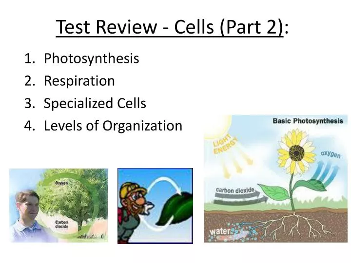 PPT - Test Review - Cells (Part 2 ) : PowerPoint Presentation, free ...