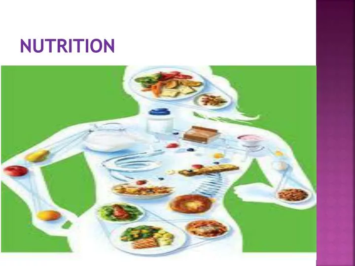 PPT - NUTRITION PowerPoint Presentation, free download - ID:6504656