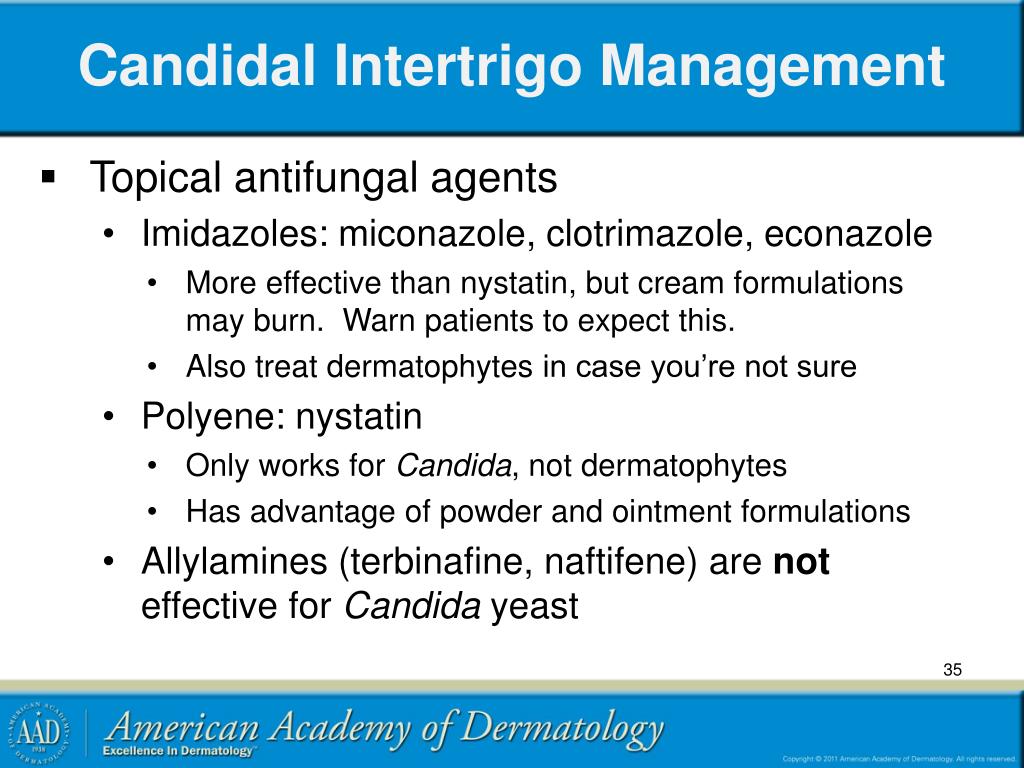 PPT - Adult Cutaneous Fungal Infections 2: Yeasts PowerPoint ...