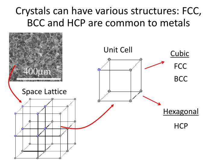 PPT - Discussion Notes PowerPoint Presentation - ID:6506439