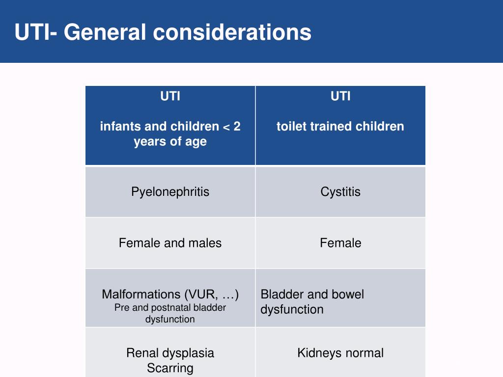 PPT - Urinary tract infections in children What investigations ...