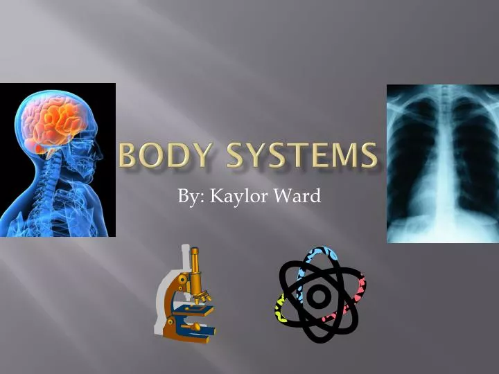 PPT - Body Systems PowerPoint Presentation, free download - ID:6508448