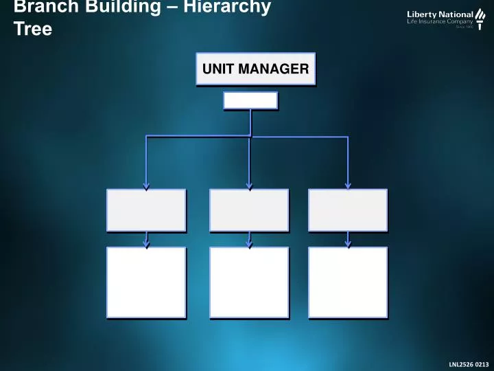 PPT - Branch Building – Hierarchy Tree PowerPoint Presentation, free ...