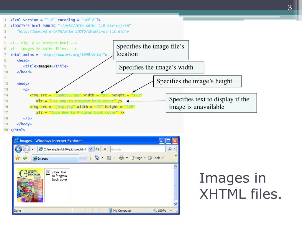 Ppt Lecture 14 A Very Brief Introduction To Html And Xhtml Part Iii Powerpoint Presentation 2252