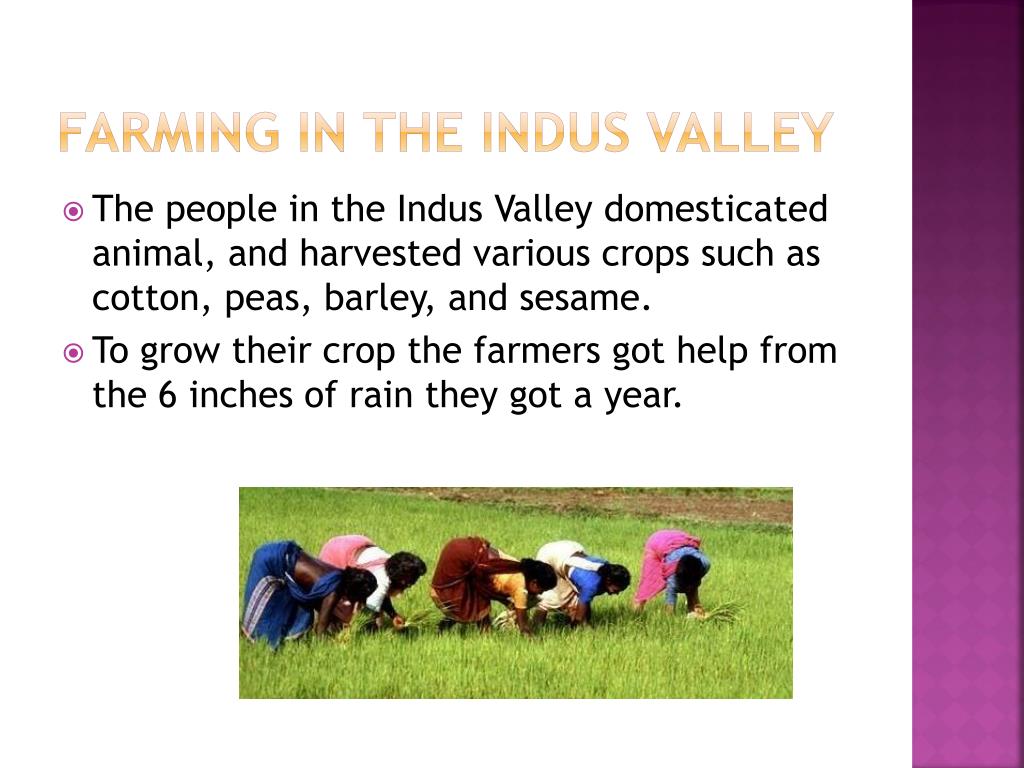 PPT - The civilization of the Indus Valley PowerPoint Presentation ...