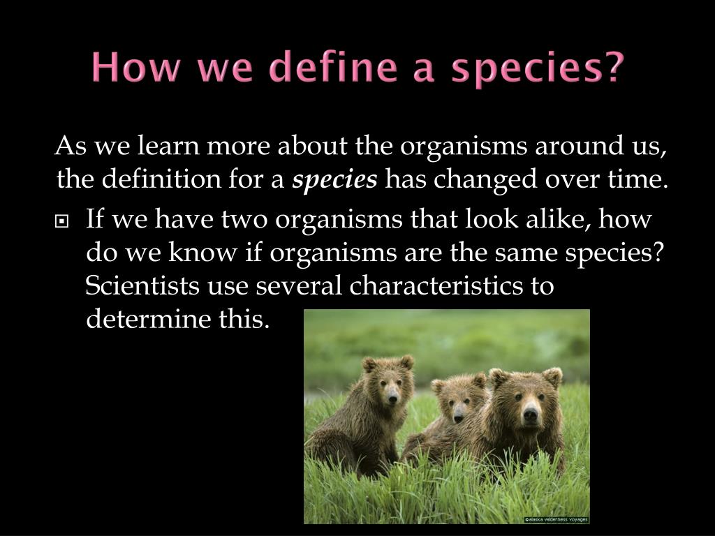 Species Definition Types Examples Britannica - vrogue.co Species Definition Types Examples Britannica - vrogue.co