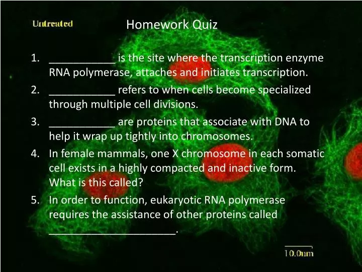 PPT - Homework Quiz PowerPoint Presentation, free download - ID:6517265