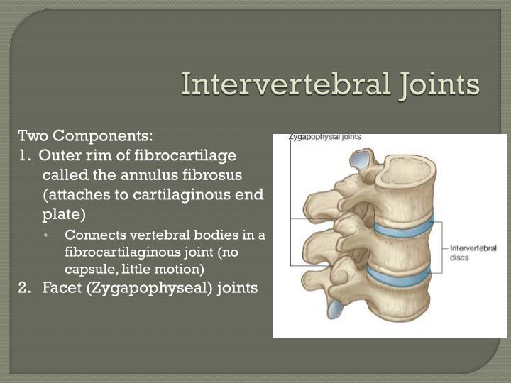 PPT - Spinal Stenosis / Neurogenic Claudication PowerPoint Presentation ...