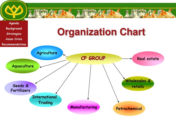 PPT - Charoen Pokphand Group PowerPoint Presentation - ID:6518036