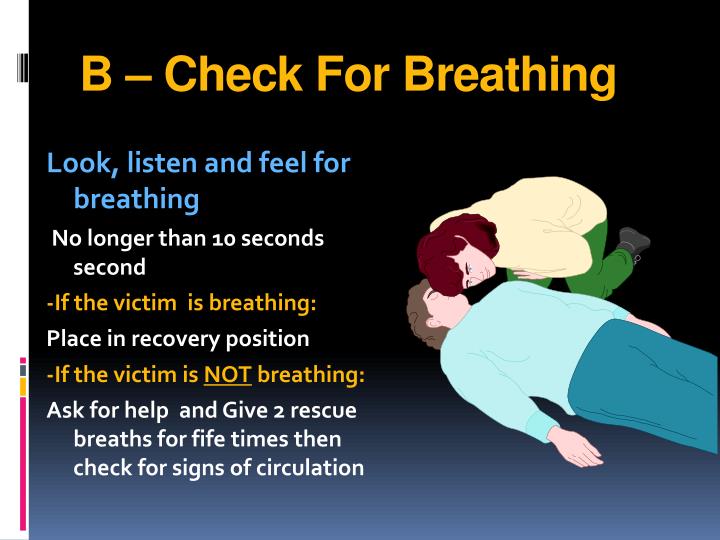 PPT - CARDIOPULMONARY RESUSCITATION CPR PowerPoint Presentation - ID ...