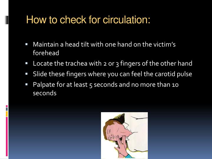 PPT - CARDIOPULMONARY RESUSCITATION CPR PowerPoint Presentation - ID ...