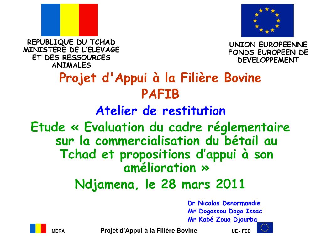 PPT - Projet d'Appui à la Filière Bovine PAFIB Atelier de restitution ...